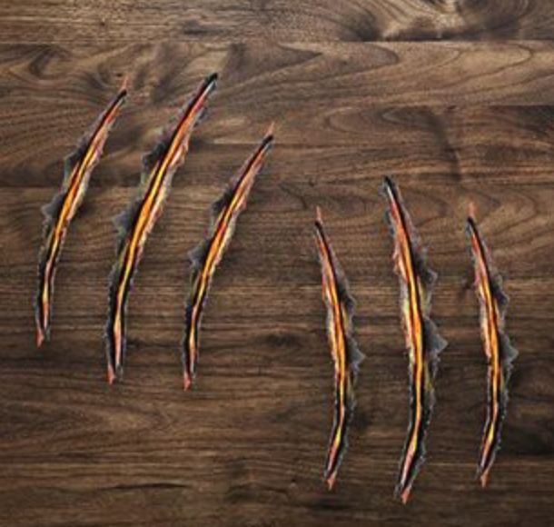 Story - Little Xerah - Chapter 3 - Alluring Nails